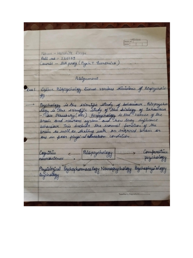 Biopsych Assignment | PDF