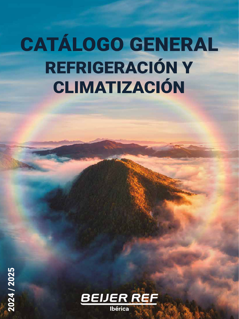 Historia y Evolución de Beijer Ref | PDF | Logística | Pascal (Unidad)
