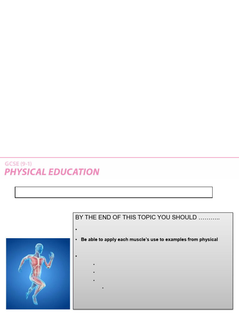 GCSE PE Muscular System Overview | PDF | Anatomical Terms Of Motion ...