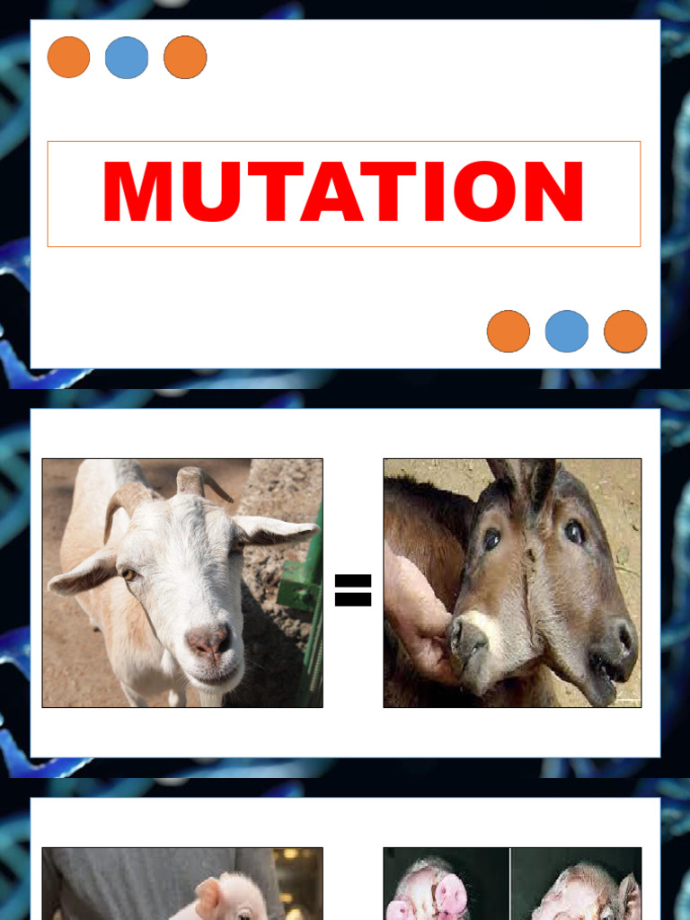 inbound2418541589198454401 | PDF | Point Mutation | Mutation