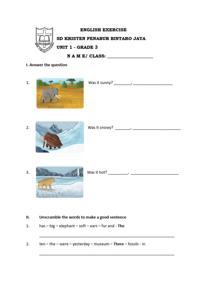 English Exercise Grade 3 UNIT 2 | PDF
