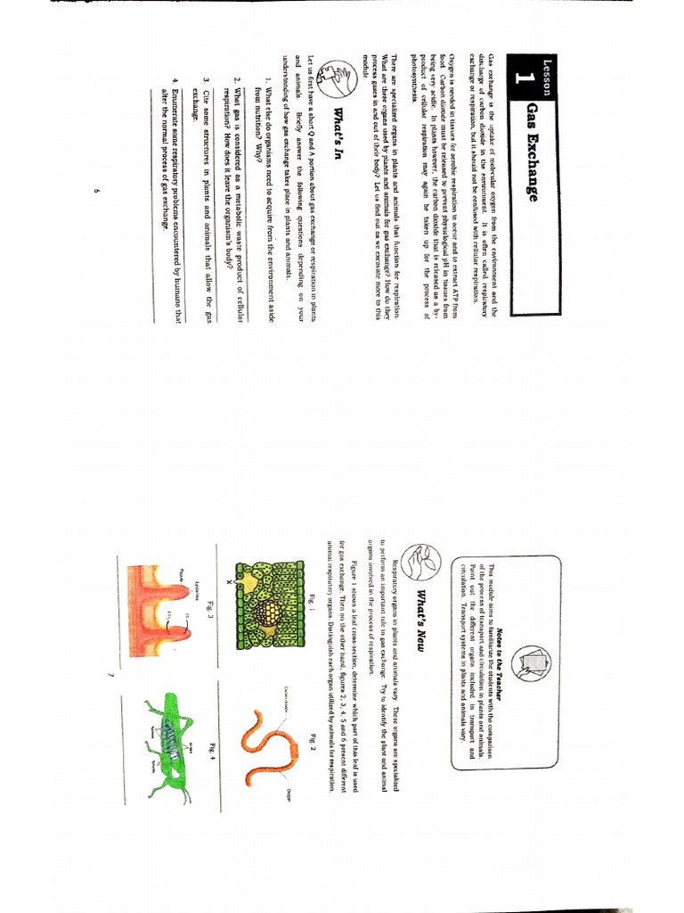 Gen Bio 2 Mod 3 | PDF