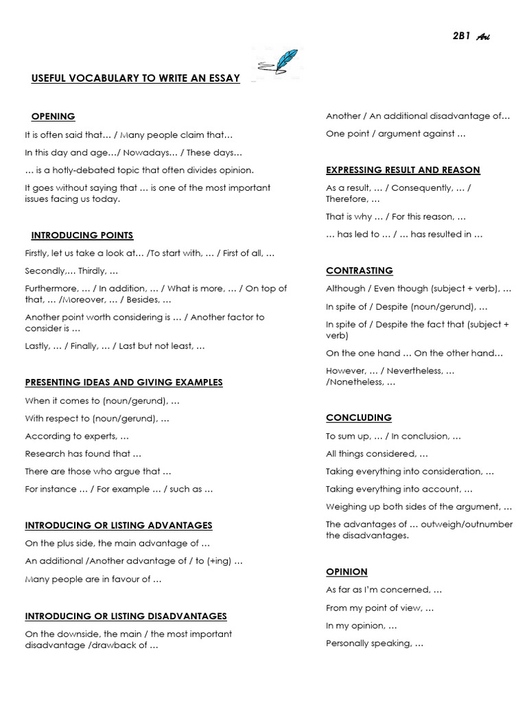 Essay Writing Vocabulary Guide | PDF