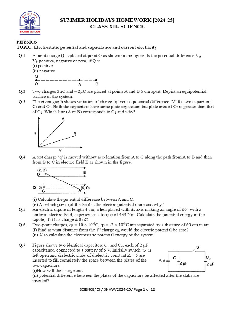 Class XII Science Homework 2024-25 | PDF | Reaction Rate | Capacitance