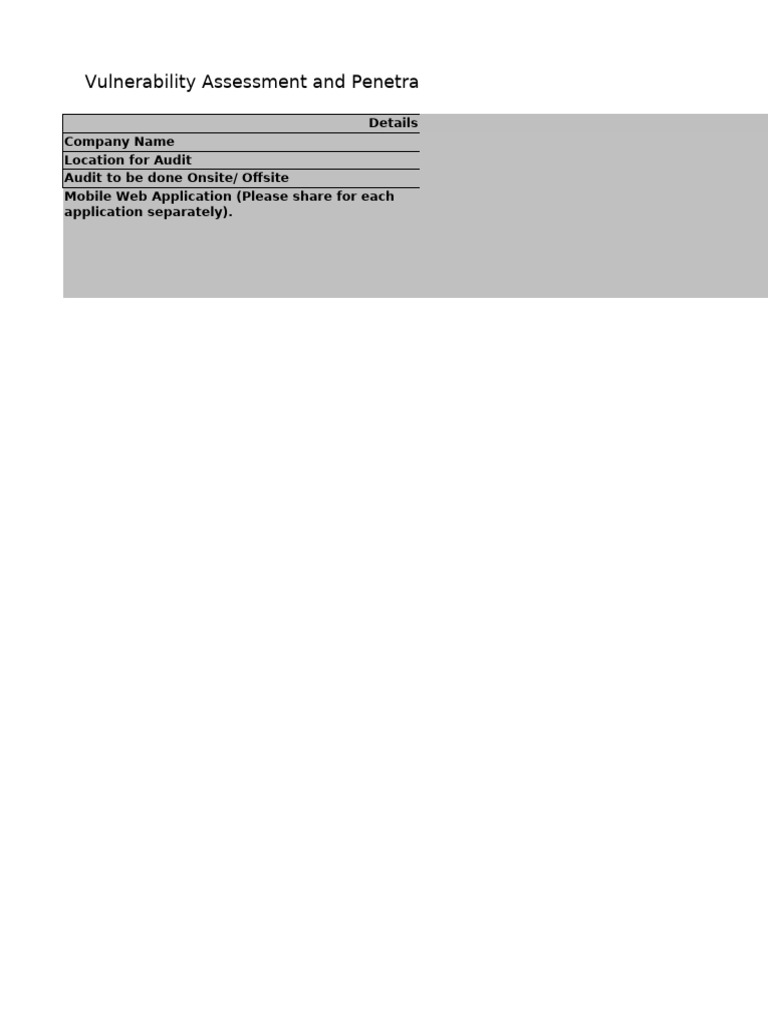 VAPT Basic Questionnaire Overview | PDF