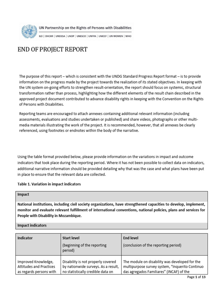 End of Project Report Phase1 I | PDF | Disability