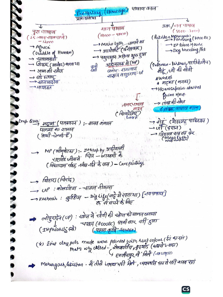 History Handwritten Notes | PDF