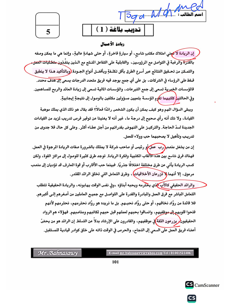 ريادة الأعمال TOQA MOHAMED | PDF