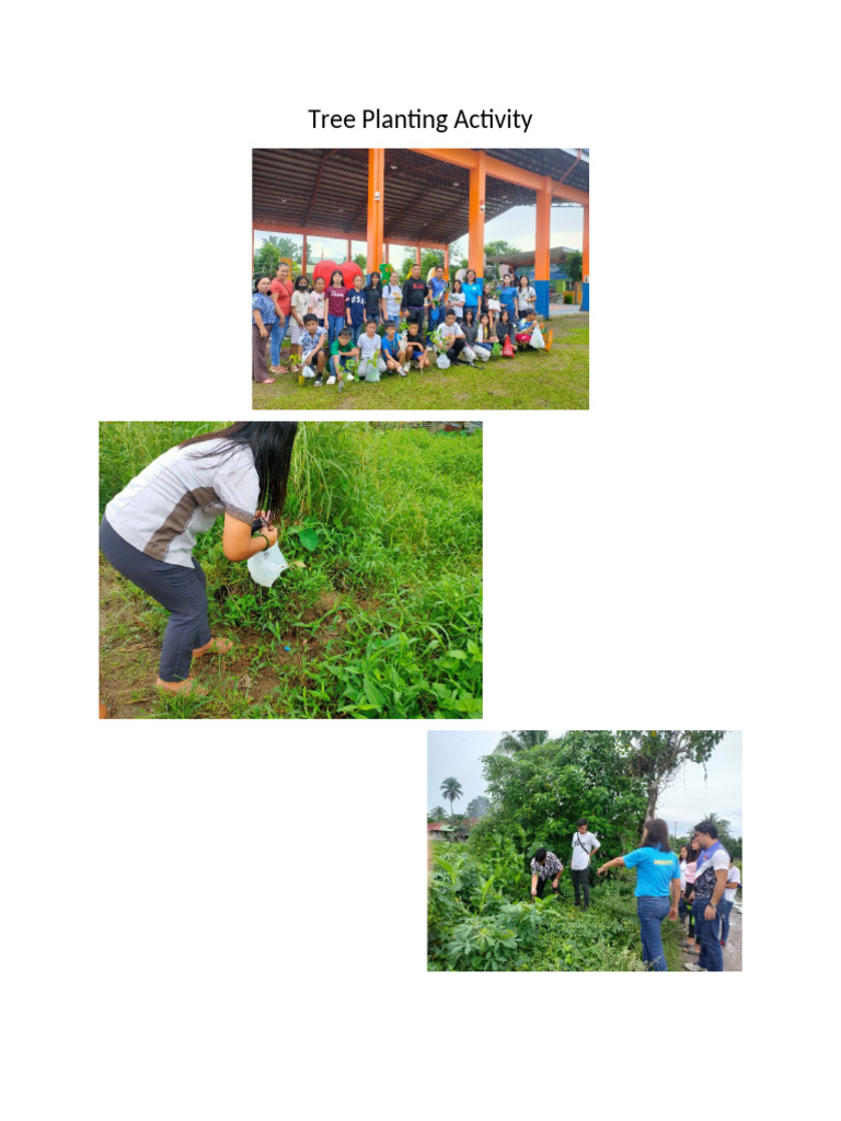 Tree Planting Activity - Coom.letter | PDF