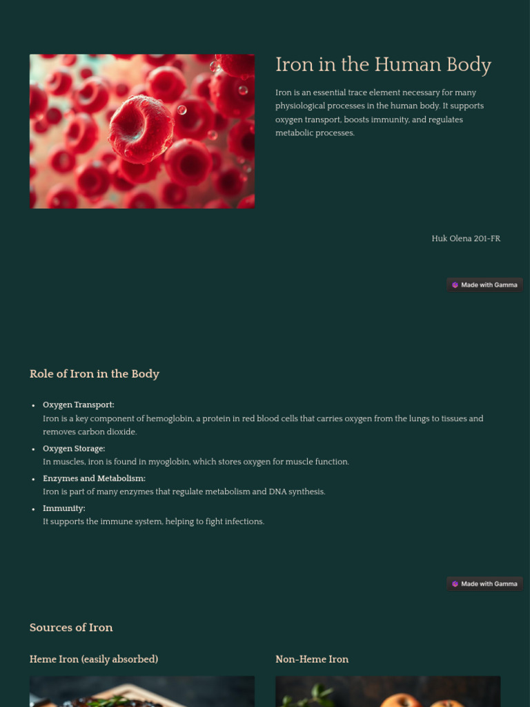 Iron in The Human Body | PDF