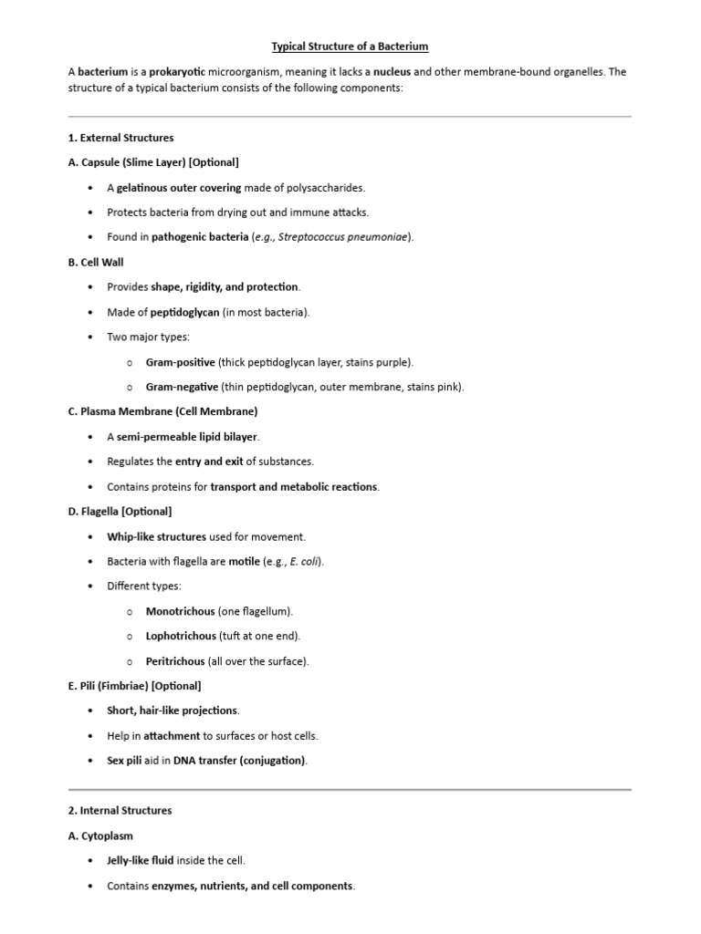 Structure of a Typical Bacterium | PDF | Bacteria | Cell (Biology)