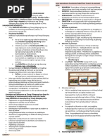 Mga Sinaunang Kabihasnan Sa Mainland (Pang-Kontinente) | PDF