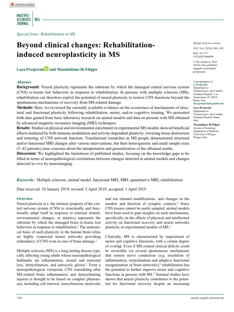 Neuroplasticity and Rehabilitation in MS | PDF | Neuroplasticity ...