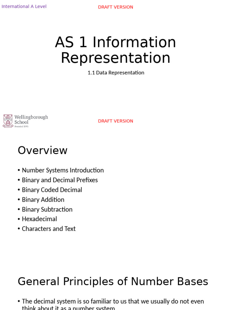 AS 1.1 Data Representation SV | PDF | Data Compression | Binary Coded Decimal