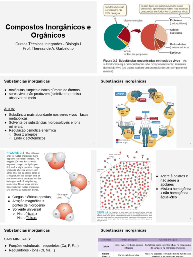 Composição de Substâncias Inorgânicas e Orgânicas | PDF | Carboidratos ...