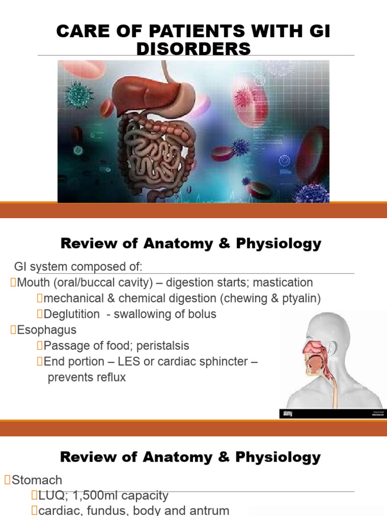 1. Review of Anatomy and Physiology of the GIT | PDF | Stomach | Digestion