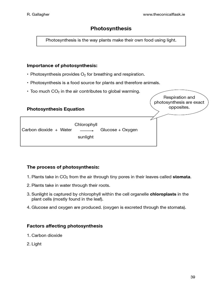 Understanding Photosynthesis Process | PDF