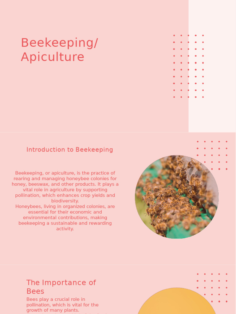 Beekeeping Class9 Group Project | PDF | Beekeeping | Honey Bee