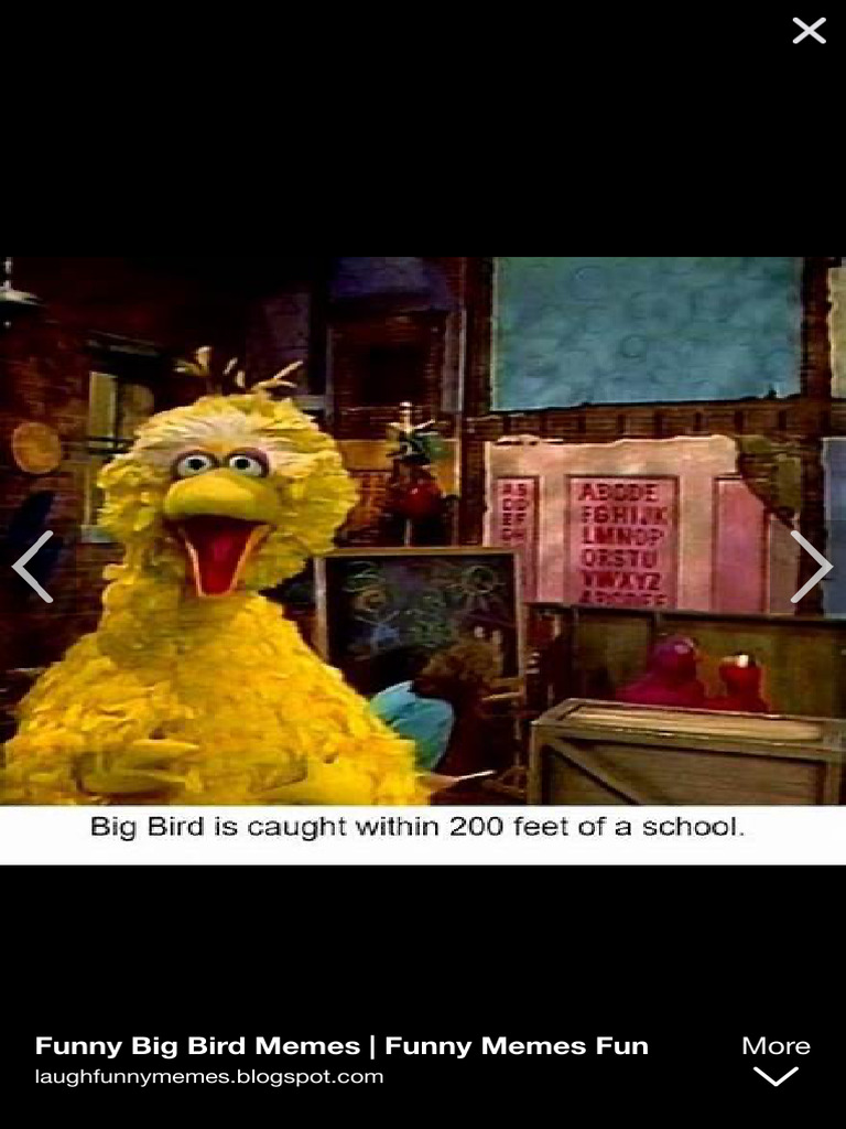 Big Bird Memes ARE Still A Thing!!! - 9GAG | PDF