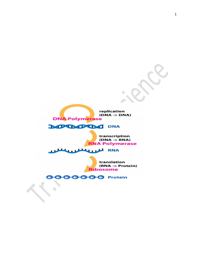 LS | PDF | Dominance (Genetics) | Genotype