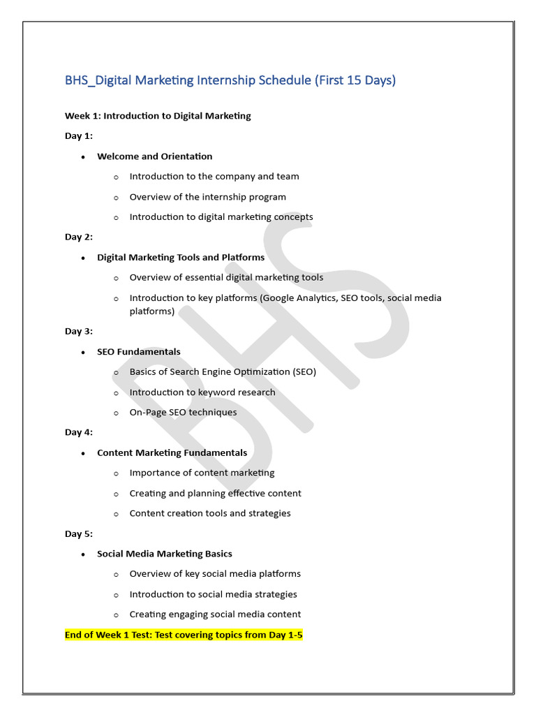 Digital Marketing Internship Schedule | PDF | Digital Marketing ...