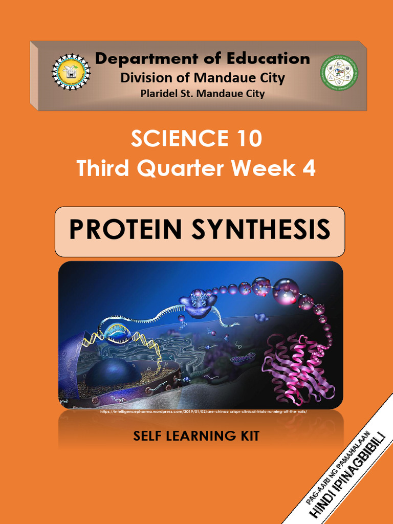 SCI10 Q3W4 SLK4 Protein-Synthesis | PDF | Translation (Biology) | Dna