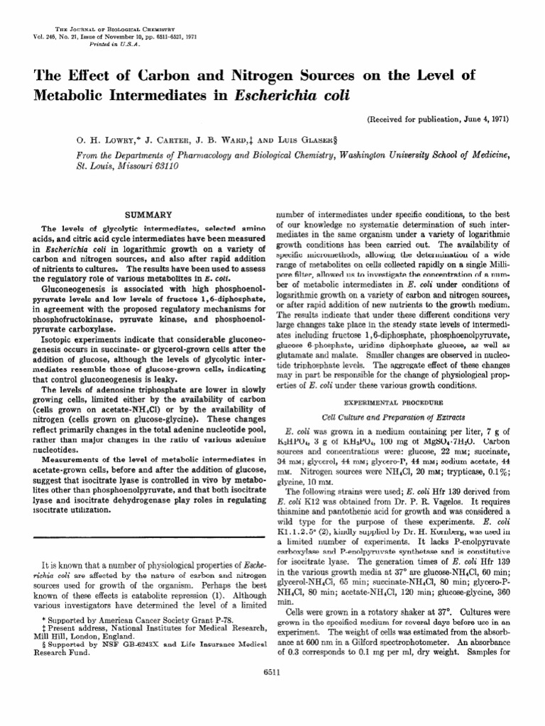 Usage of Different Carbon and Nitrogen Sources by E. Coli | PDF ...