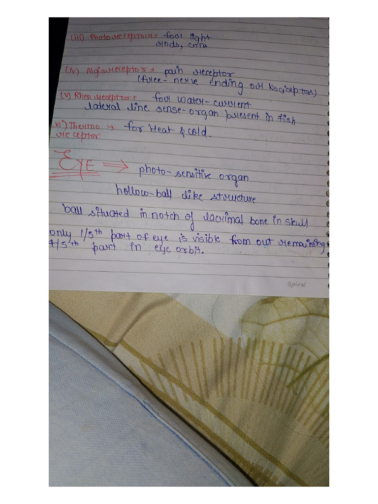 Image To PDF 20241129 101932 | PDF