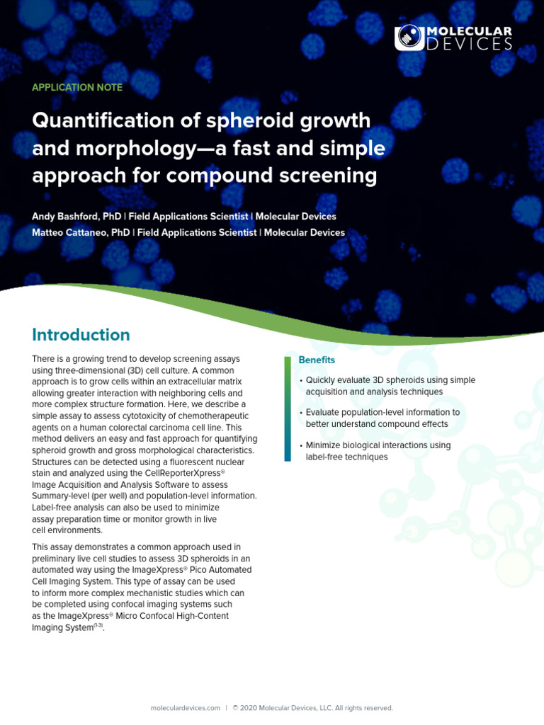 Quantification of Spheroid Growth and Morphology A Fast and Simple Approach For Compound ...