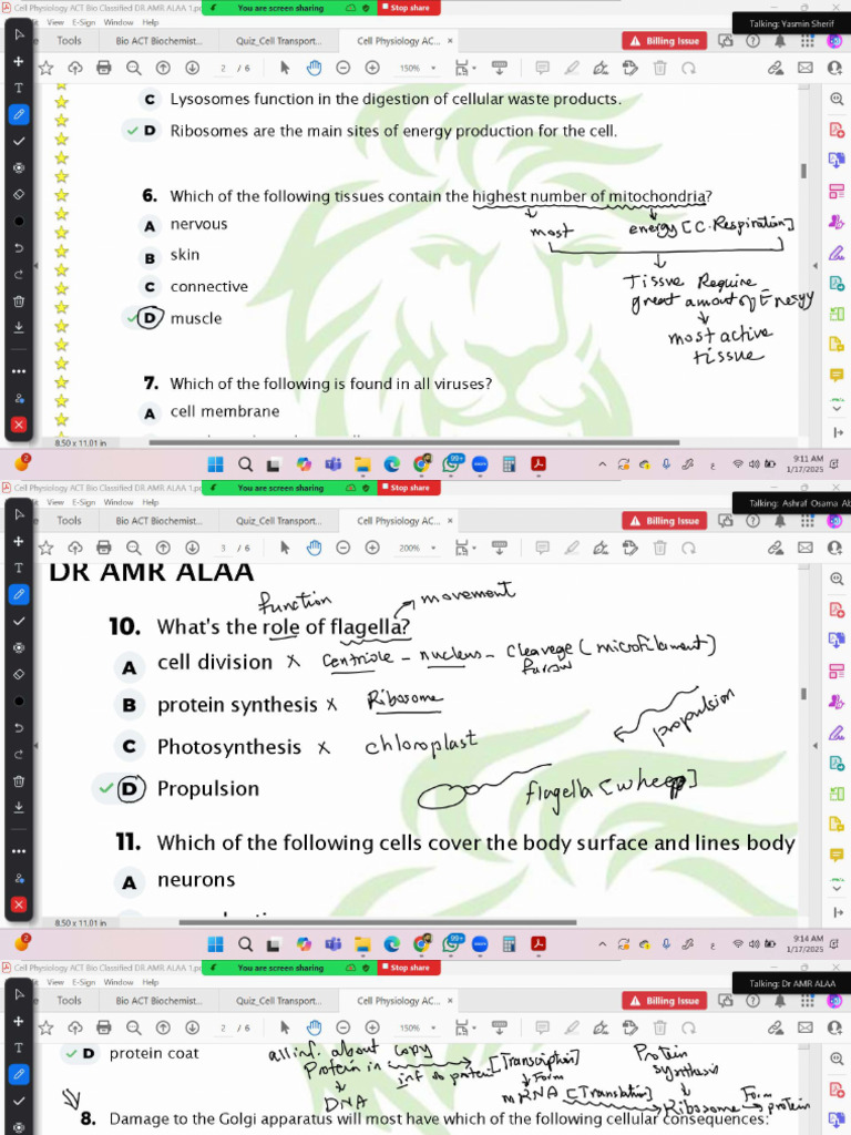 Classifed Session Ch1+Ch2+Ch3 Annotation | PDF