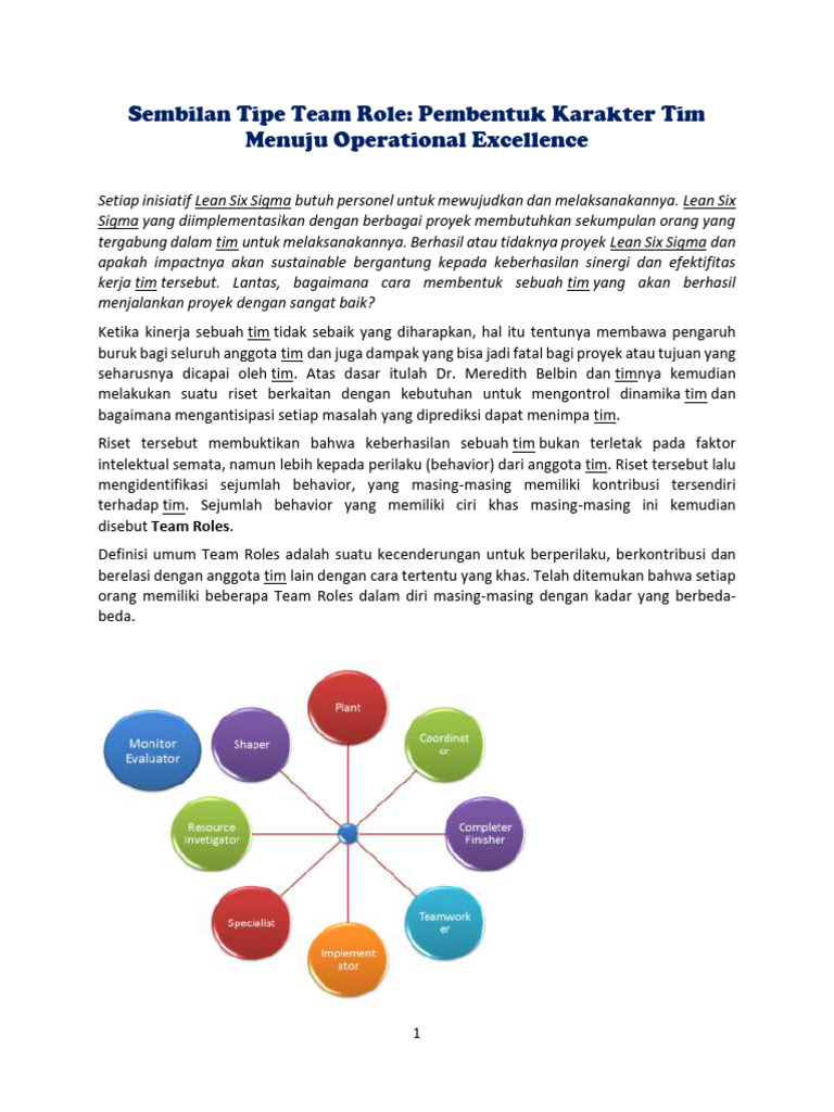 Sembilan Tipe Team Role Belbin | PDF