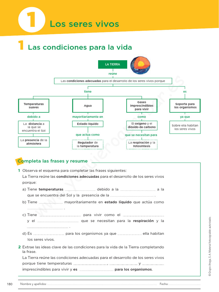 Características de los Seres Vivos y Tipos de Células | PDF | Biología ...
