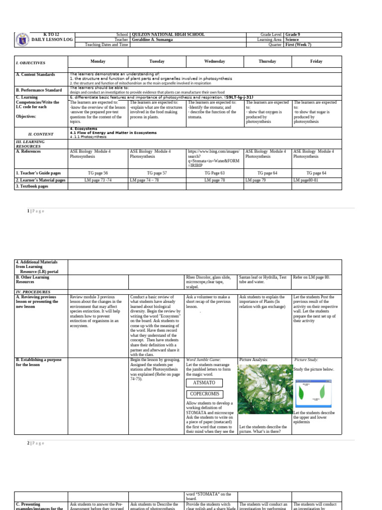 DLL-SCIENCE-9-Q1-WEEK-7 | PDF | Photosynthesis | Leaf