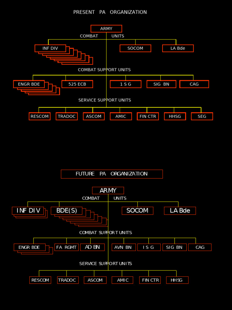 2 - PA Organization (2) | PDF