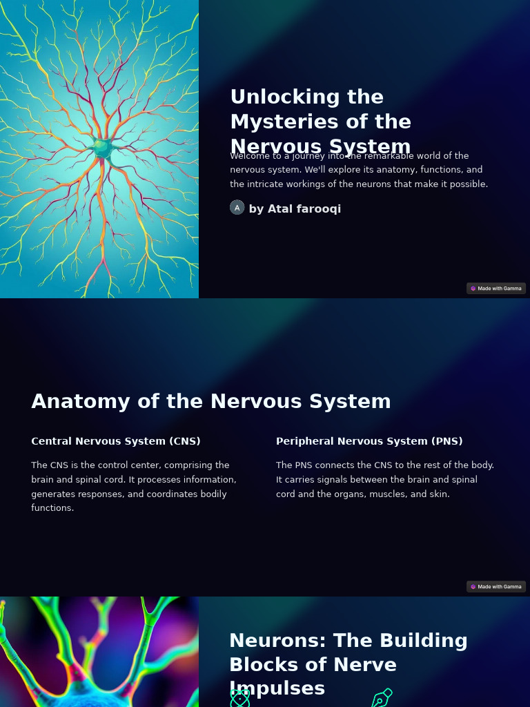 Unlocking the Mysteries of the Nervous System | PDF | Nervous System | Neuron