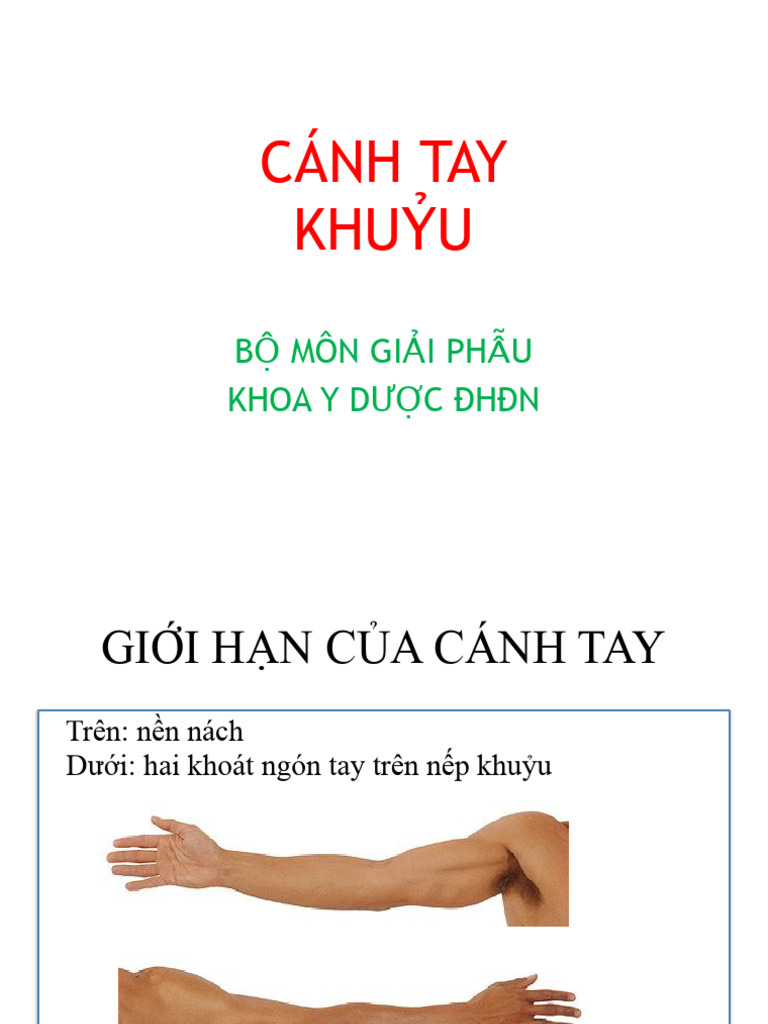 Canh Tay | PDF