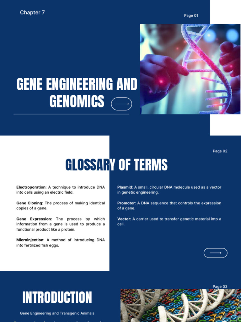 Gene Engineering and Genomics.pdf | PDF | Transgene | Molecular Cloning