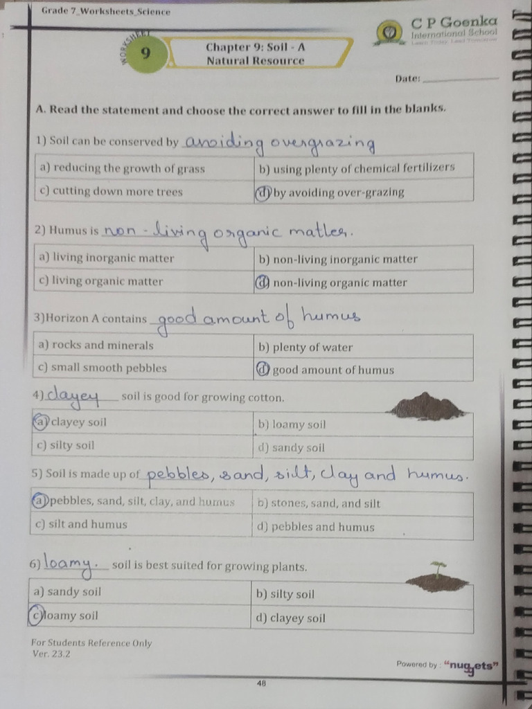 Grade 7 Science Soil Worksheets | PDF | Soil | Earth Sciences