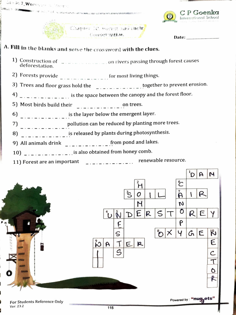 Forest Ecosystem Worksheet for Students | PDF | Food Web | Rainforest