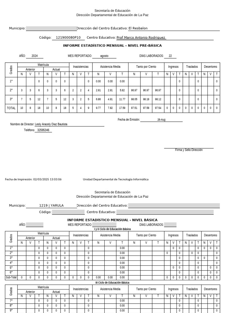 Formato Parte Mensual 2024-1 | PDF