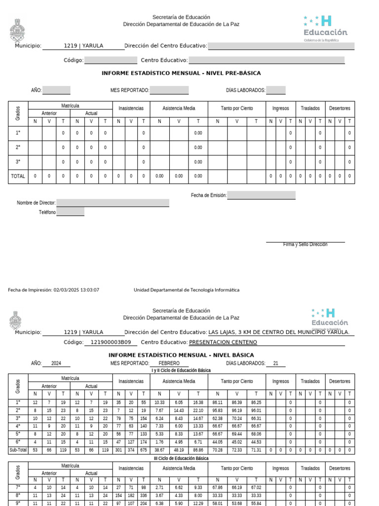 Formato Parte Mensual 2024-1219 | PDF