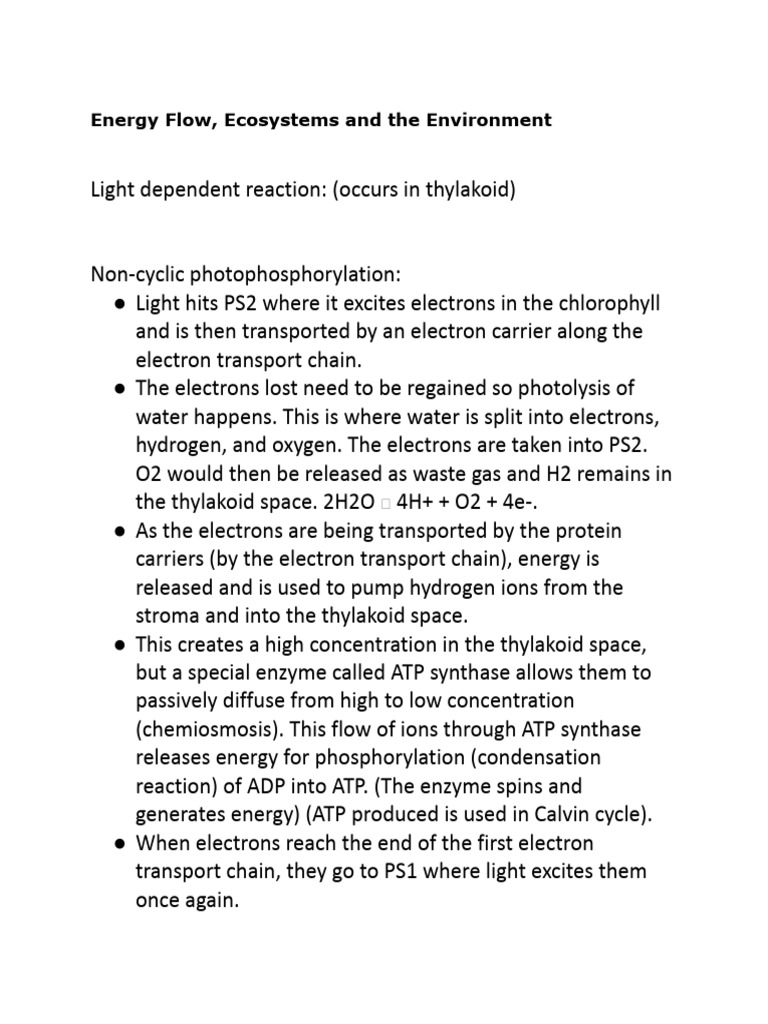 5A Energy Flow, Ecosystems and The Environment Notes Biology IAL | PDF ...