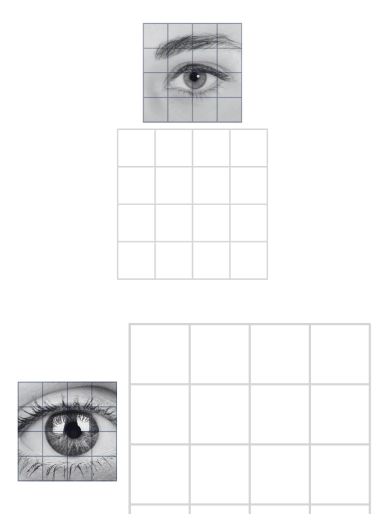 Eyes Sketch by Grid | PDF