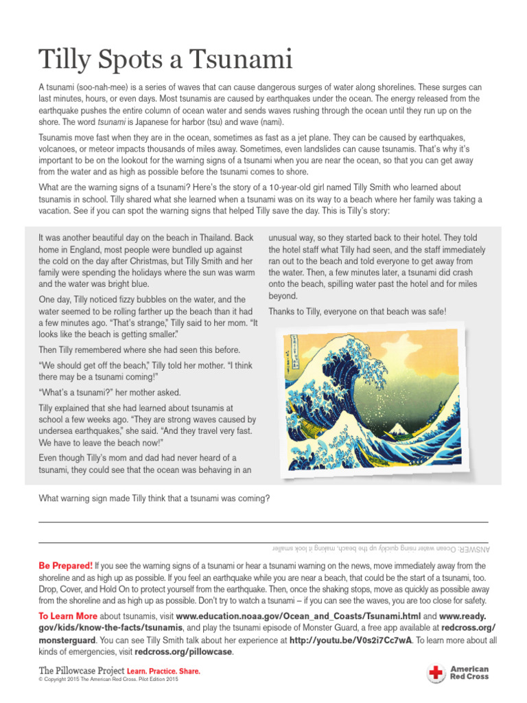 Tsunami_Activity | PDF | Tsunami | Physical Oceanography