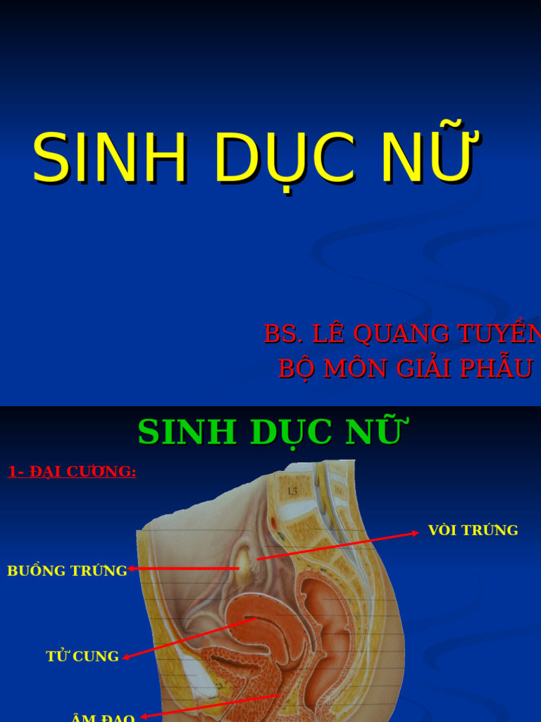 Sinh D C N | PDF