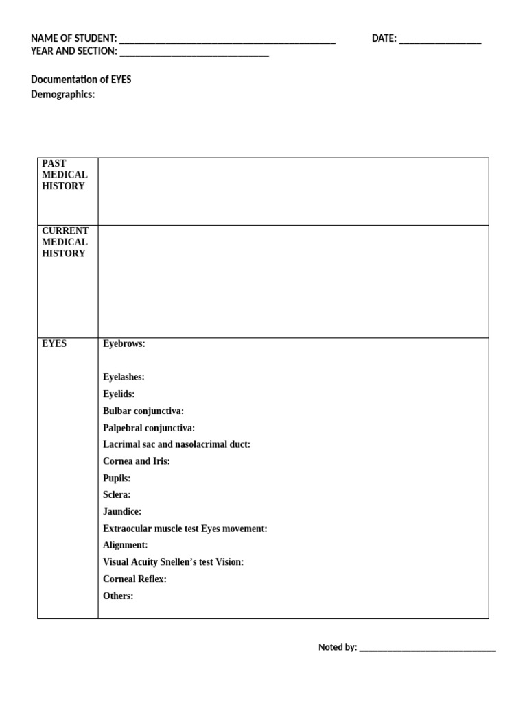 3 Documentation Eyes and Ears | PDF
