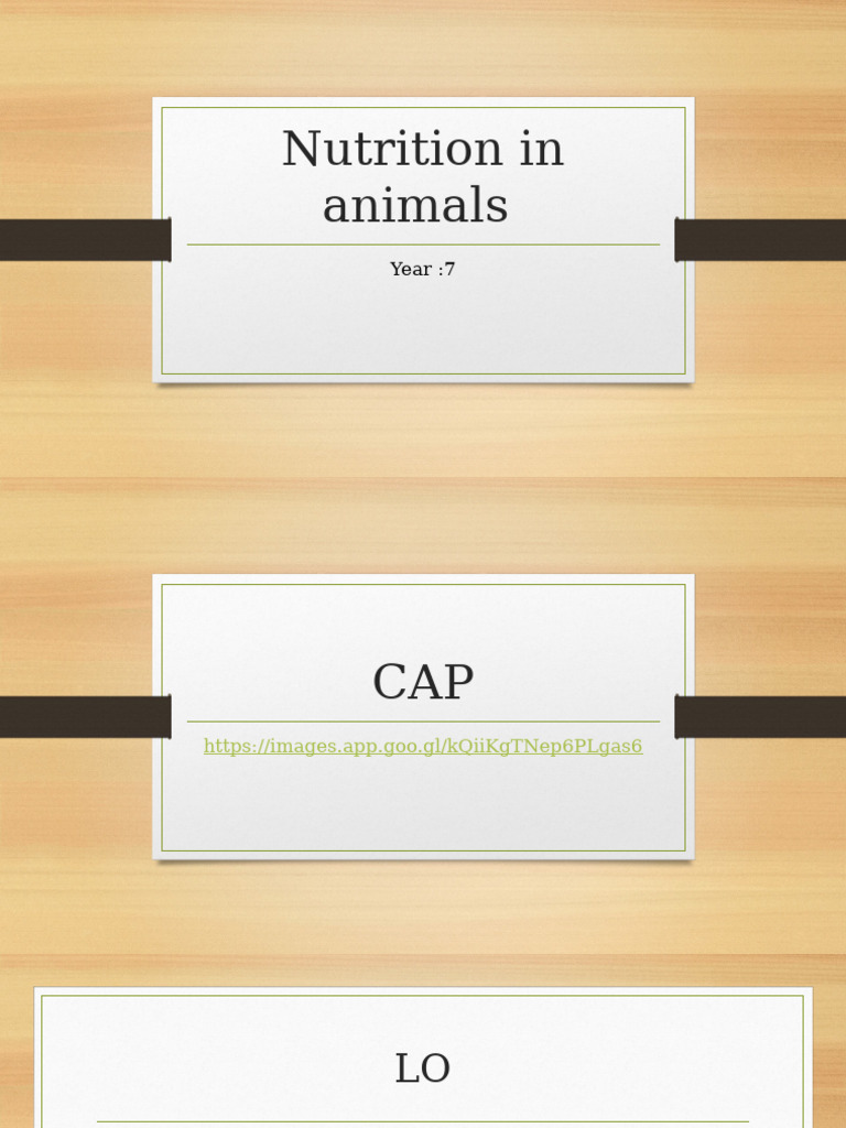 Gr7 - Nutrition in Animals - Ruminants | PDF