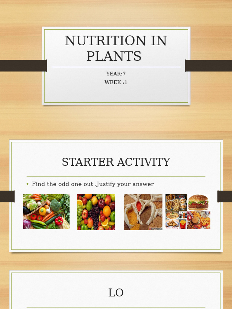 Gr7 - Nutrition in Plants 1 - Week 1 | PDF
