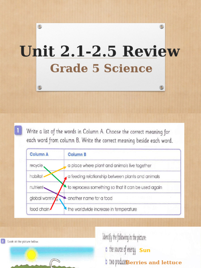 Grade 5 Science Unit 2 Review | PDF | Foods | Predation