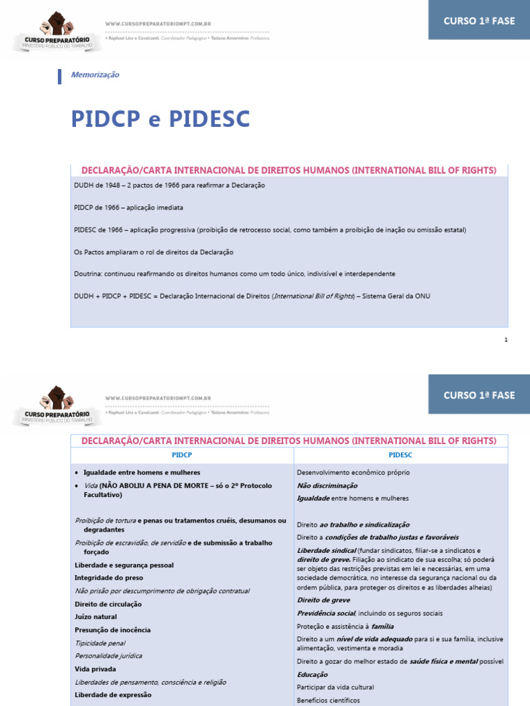 Memorizacao PIDCP e PIDESC 2023 | PDF | Sindicato | Direitos Humanos